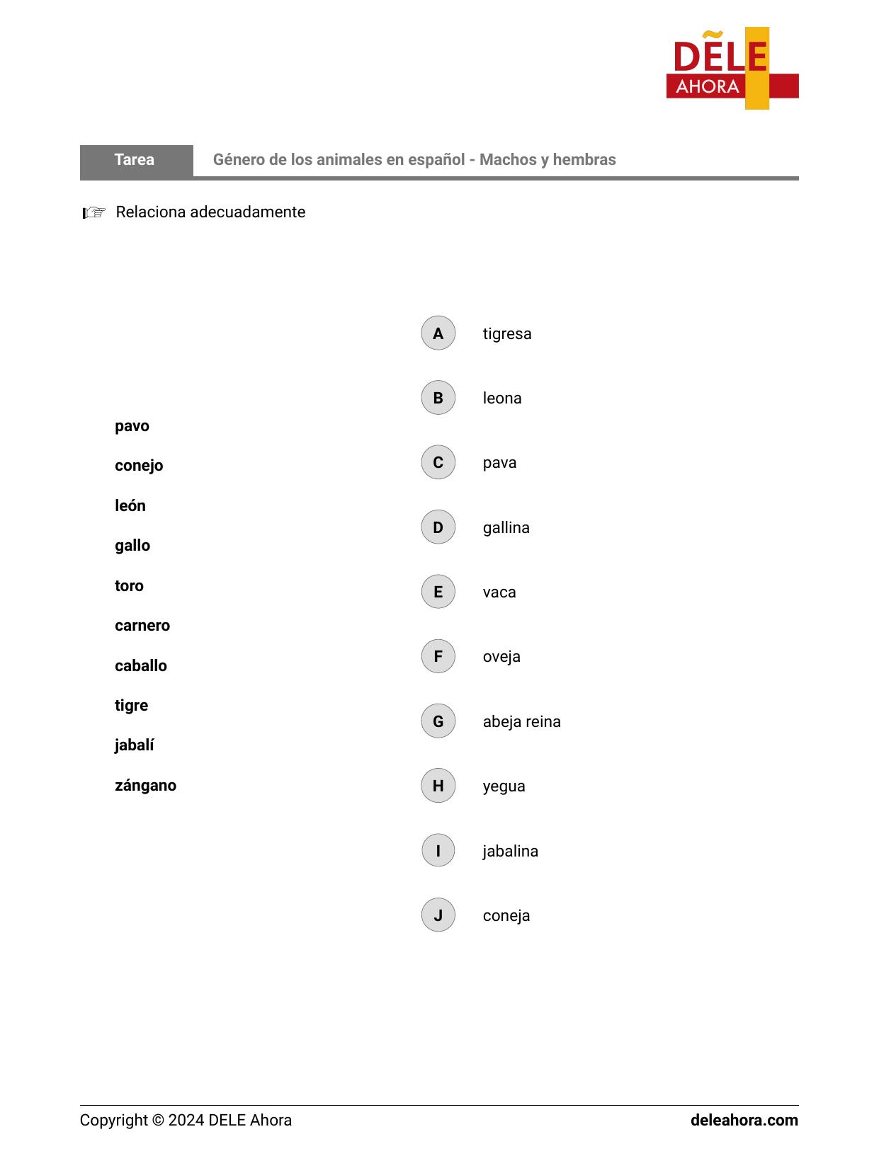 Género de los animales en español - Machos y hembras | Vocabulario