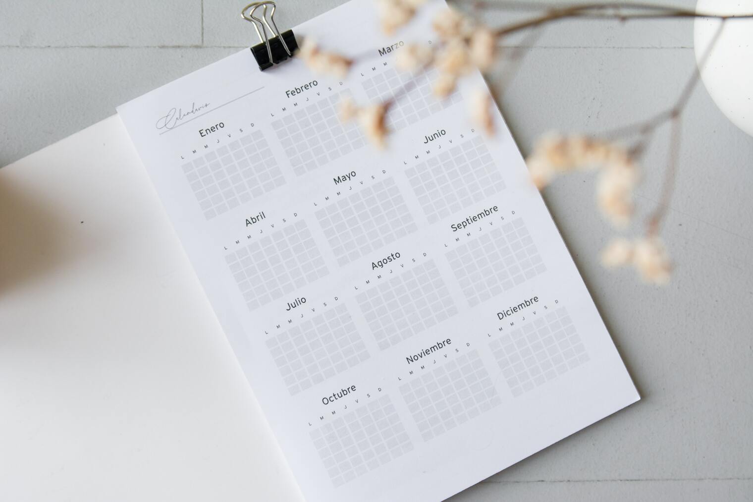 Vocabulario básico sobre los meses - El calendario | Vocabulario